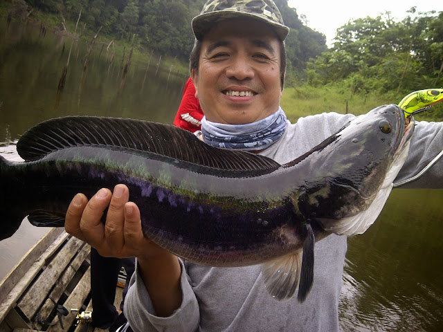 Mancing Toman | 16 Januari 2014 | Bono Kampar | PLTA Koto Panjang