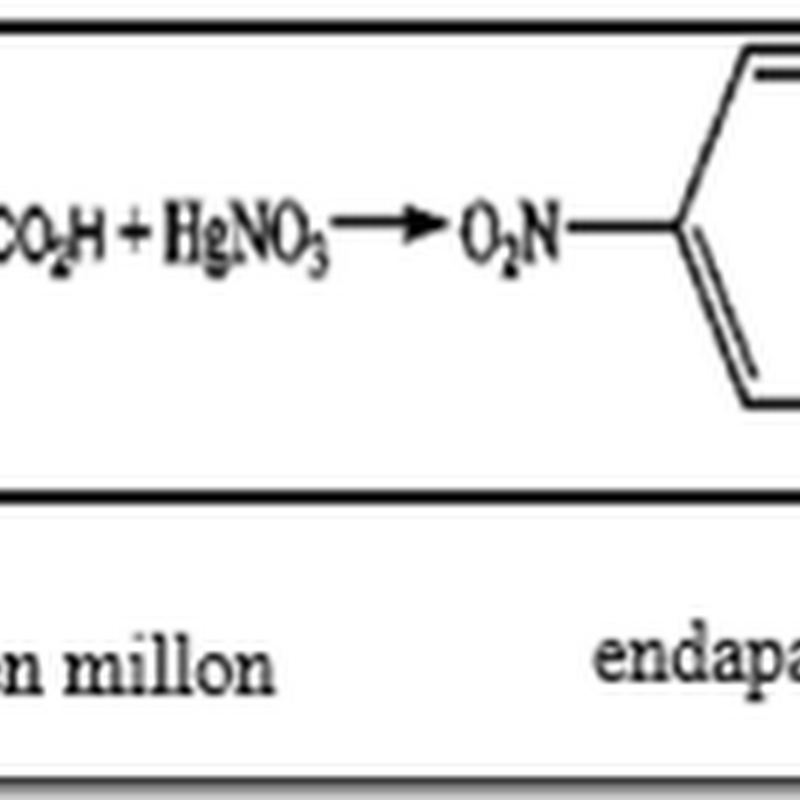 Uji Millon pada Protein - My Experience