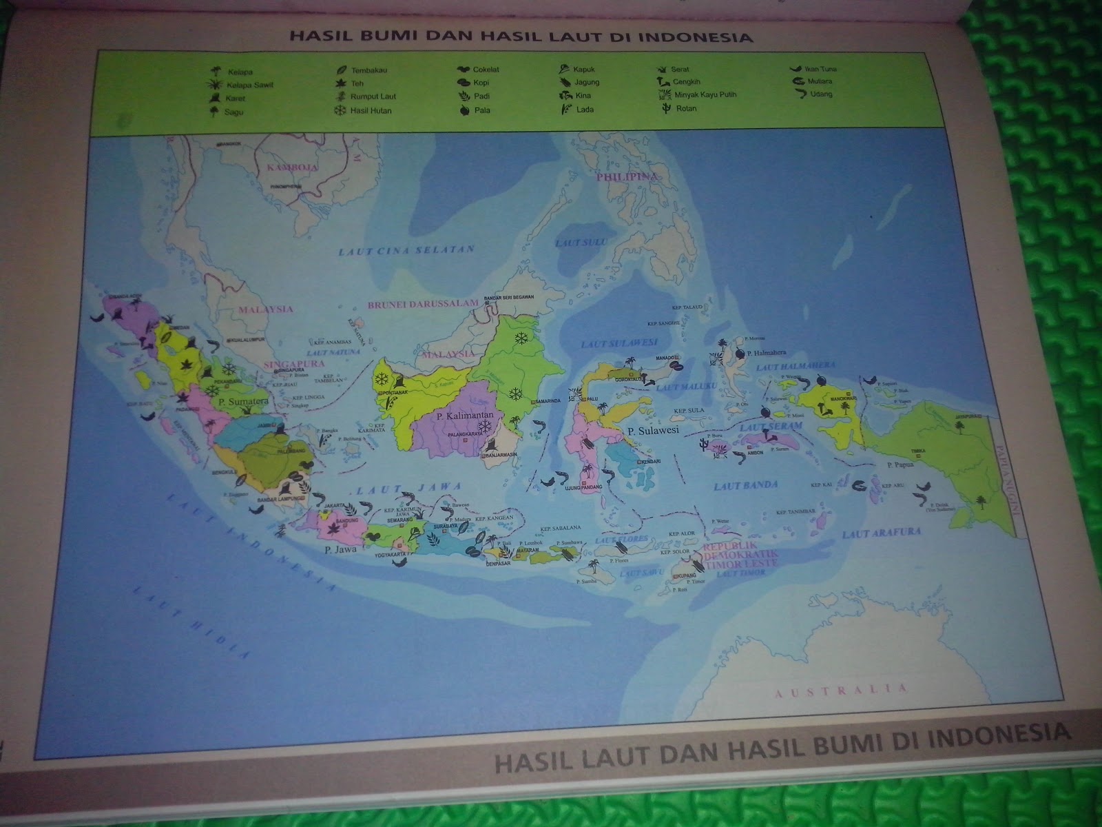 sumber daya alam dan berkelanjutan: hasil laut di Indonesia