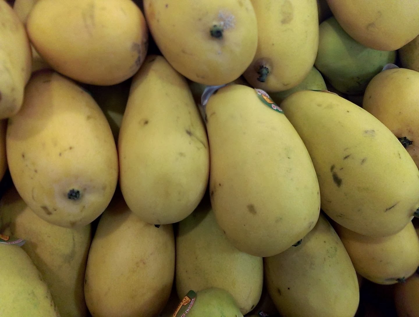 13 ripe mango free pictures