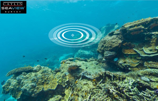 Explore Underwater with Google Sea View