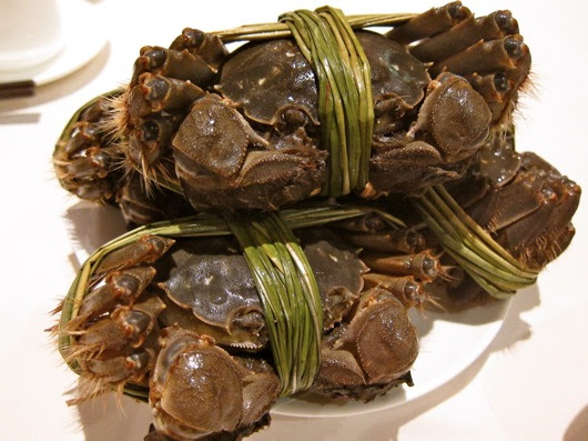 Jin Loves To Eat Hairy Crab Feast At Wu Kong 滬江飯店 ♥ ♥ ♥ ♥