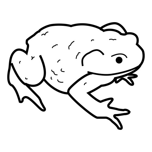 DIBUJOS PARA COLOREAR SAPOS