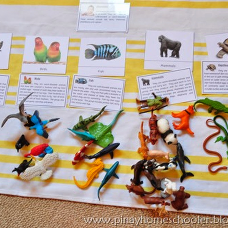 Introducing Vertebrate Animals to Kids | The Pinay Homeschooler