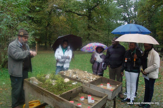 Lagos Goes Green: Gardener Fashola Plants 4.6 Million Trees - Politics ...