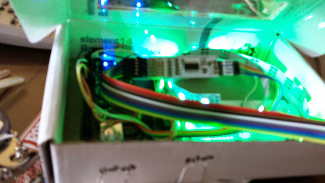 Rosita's RBG LED Lights