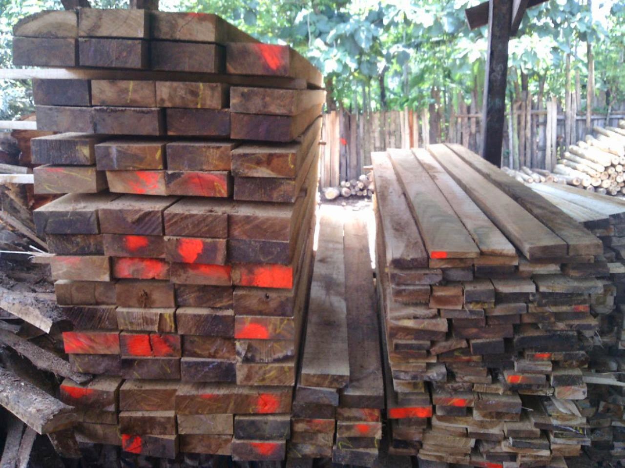 kayu jati jawa barat: Kayu jati jawa barat. Borong gan