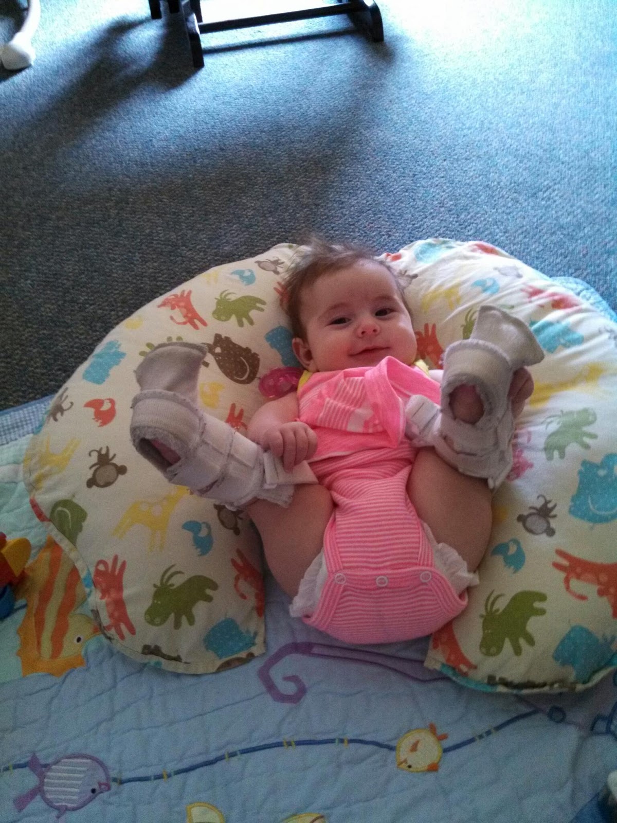 Froggied Princess: Our life with a Wheaton-Pavlik Harness: Feeling Froggie