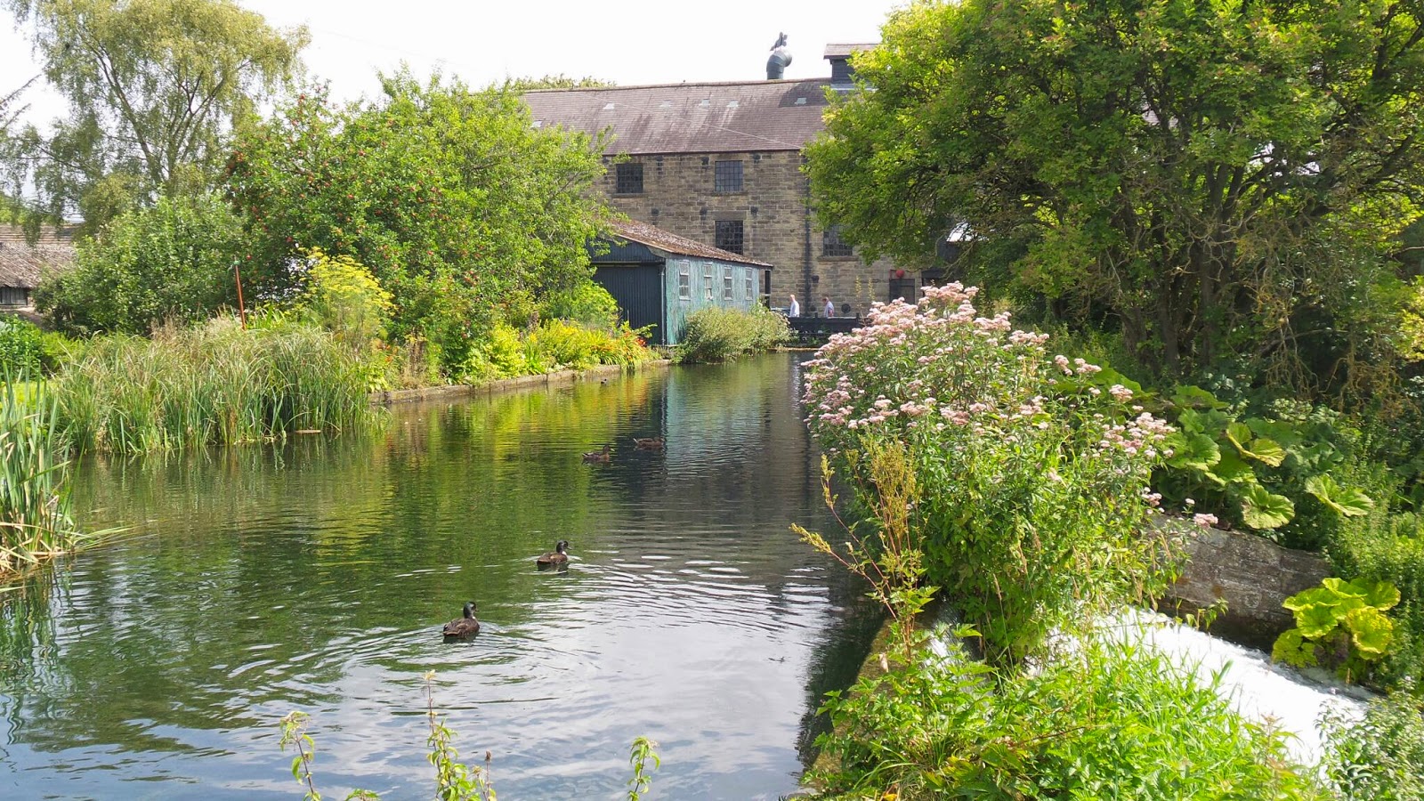 Number 1: Rowsley, Caudwell's Mill