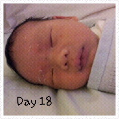 My precious baby - Jadon Tan: Day by day, little by little