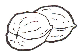 DIBUJOS PARA COLOREAR NUECES