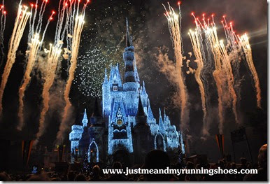 Mickey's Very Merry Christmas Party 2014 (20)