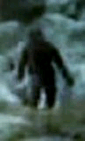 El Yeti, una realidad científica