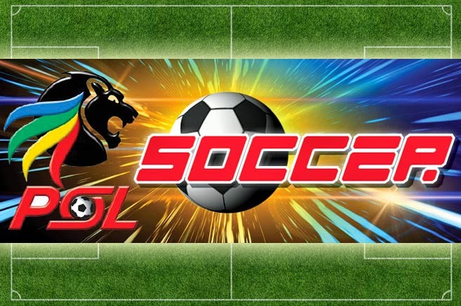 PSL game attendance international views | South Africa Loves Football