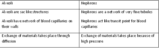 ALL CBSE STUFF ©: CLASS X LIFE PROCESS NCERT SOLUTIONS