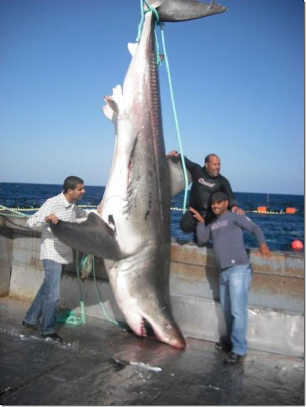 Salakta and Chebba ( Mahdia) - Be In Tunisia