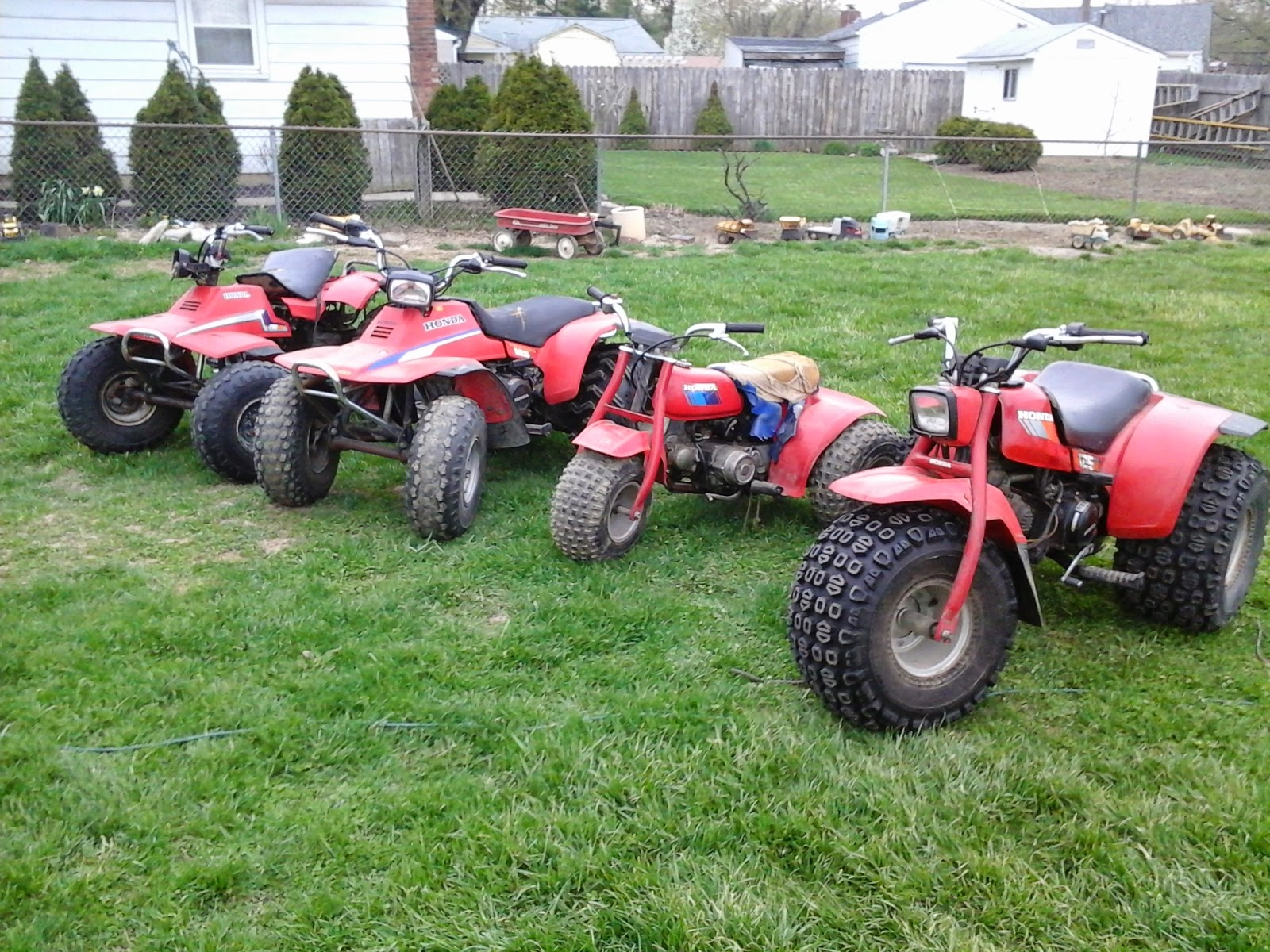 Our Loco (crazy) World ....