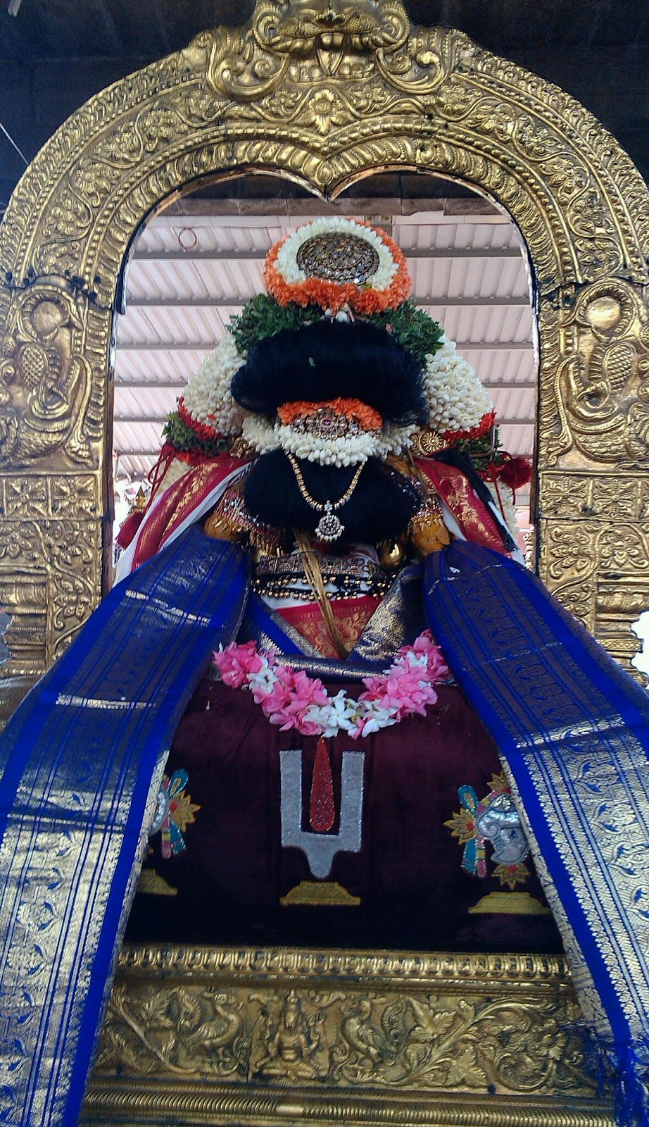 Parthasarathy: Panguni savanam sri parthasarathy utsavsar