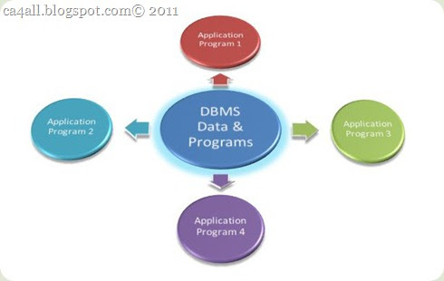 CA4ALL: Users of DBMS