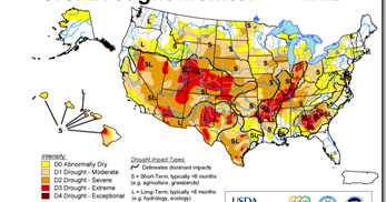 Avian Flu Diary: A Disaster In Slow Motion