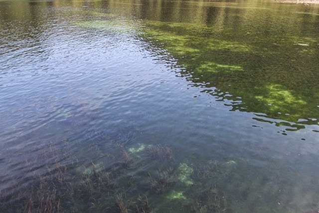 Nordri Heads North: Day 4/ August 4th – Lund to Beaver Cove ...