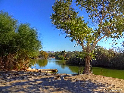 New 2012: Yuma and Fortuna Pond