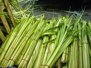 janur kuning pernikahan | PASAR JANUR