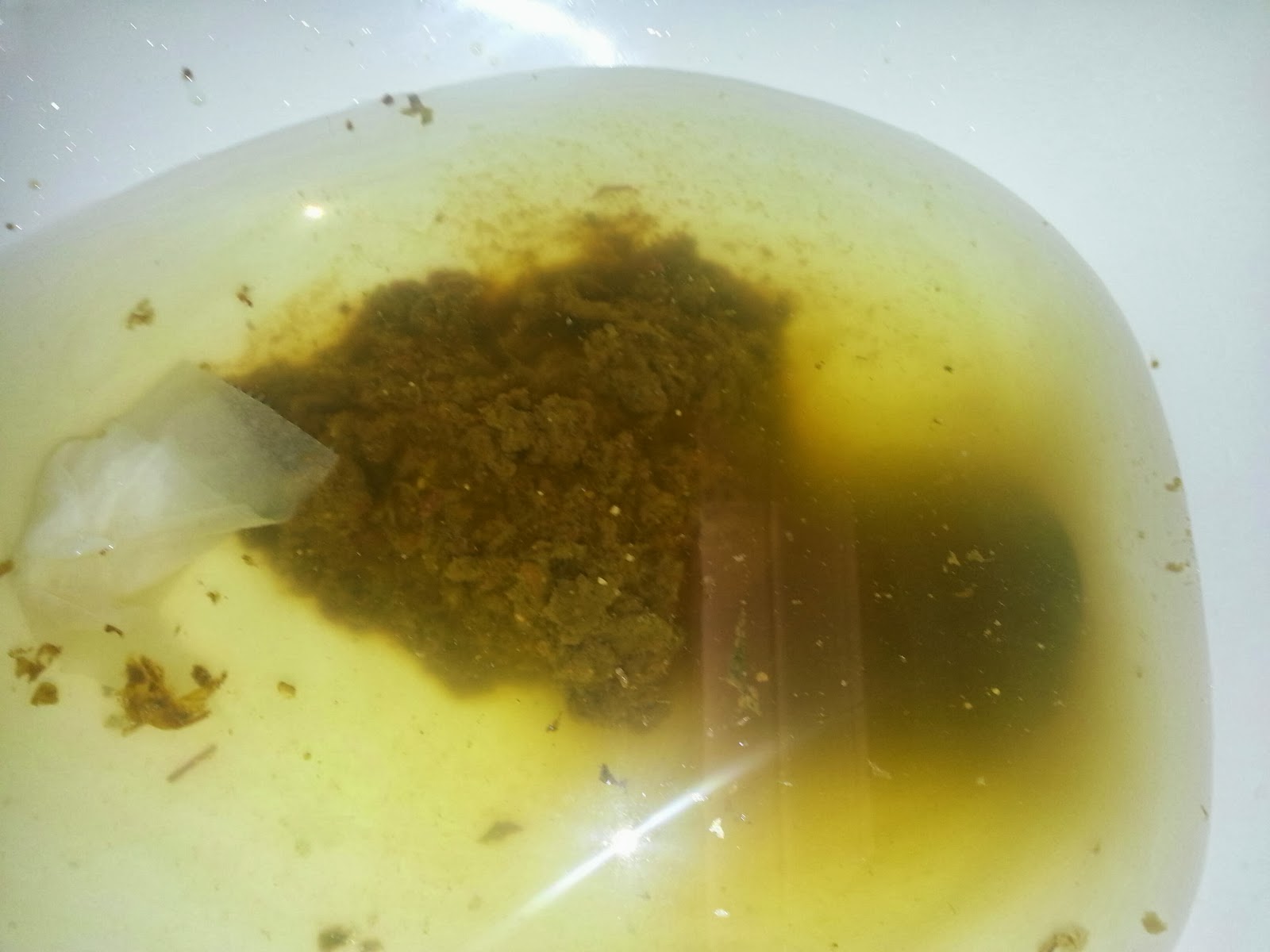 My Daily Poo: December 2013