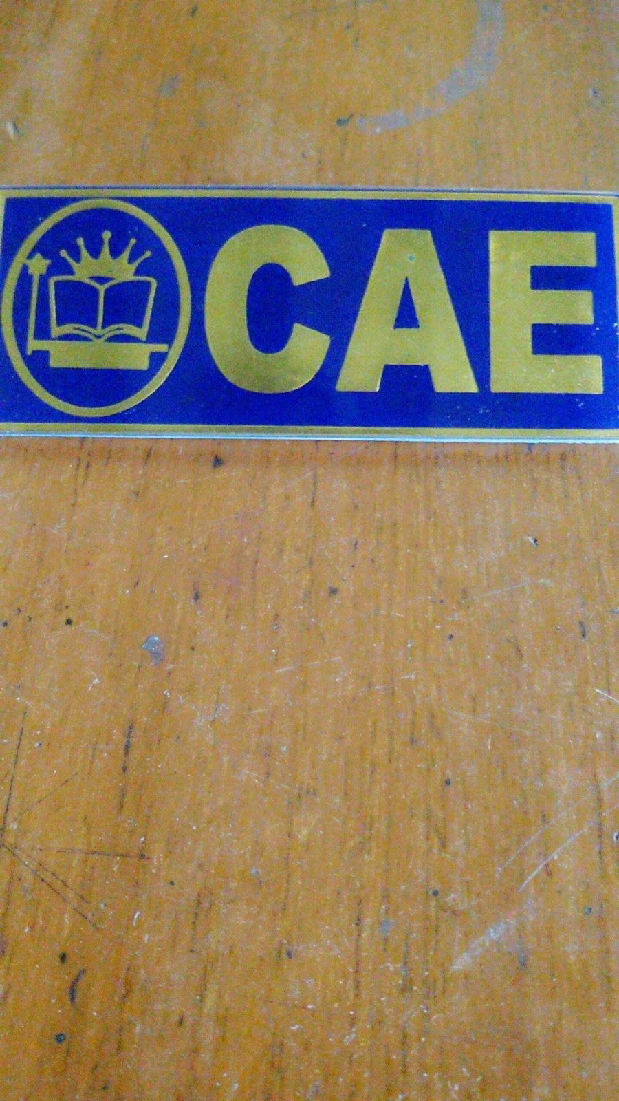 CAE Private High School