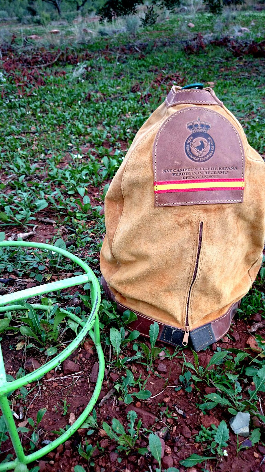 EL ARTE DEL RECLAMO: Campeonato de España " sayuela