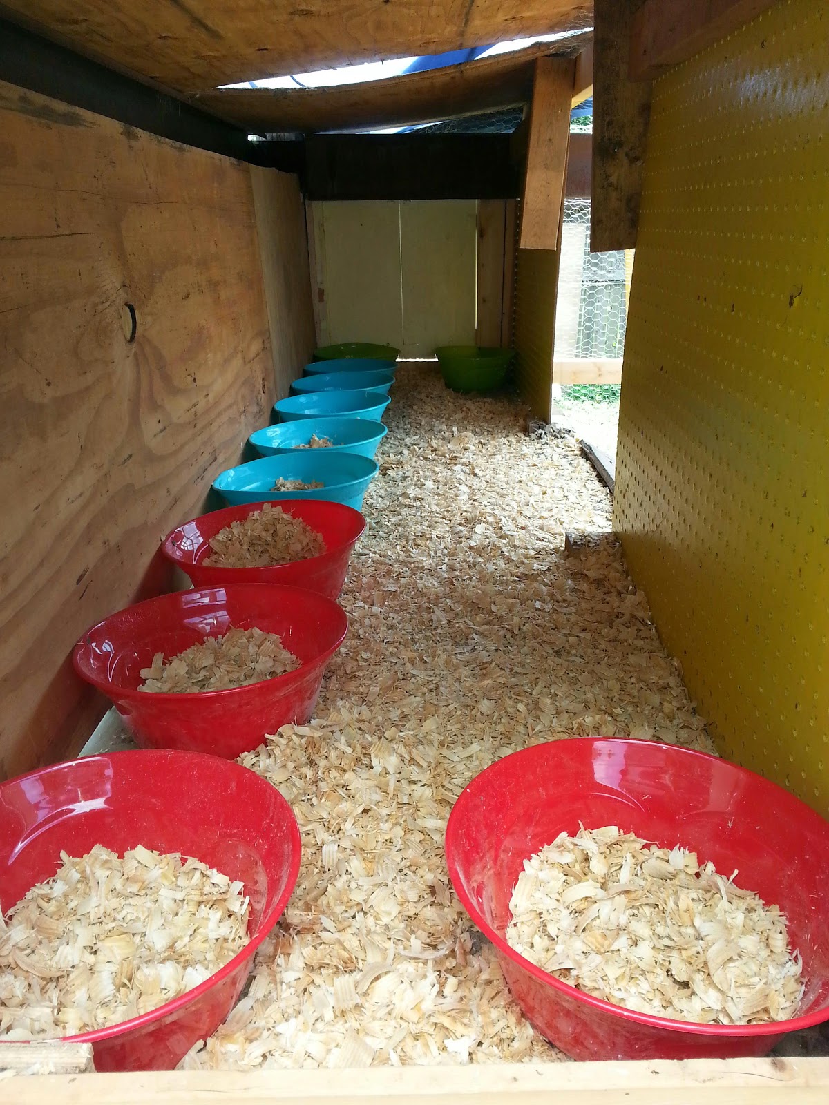 Krafty Kritters Easy Cheap Nesting Boxes For Hens