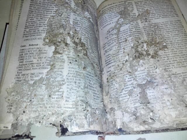 Termite eaten book