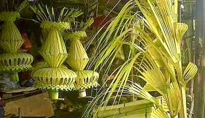 janur kuning pernikahan | PASAR JANUR