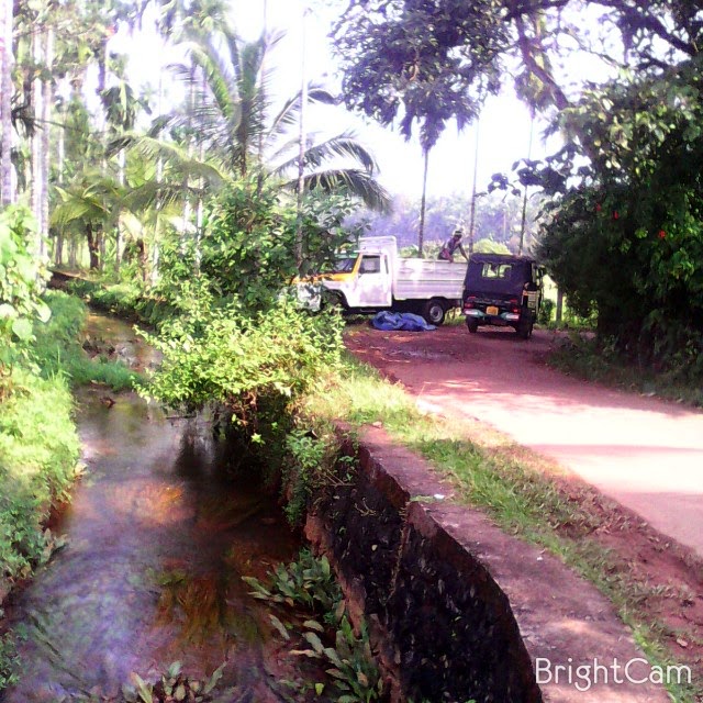 kadiyangad