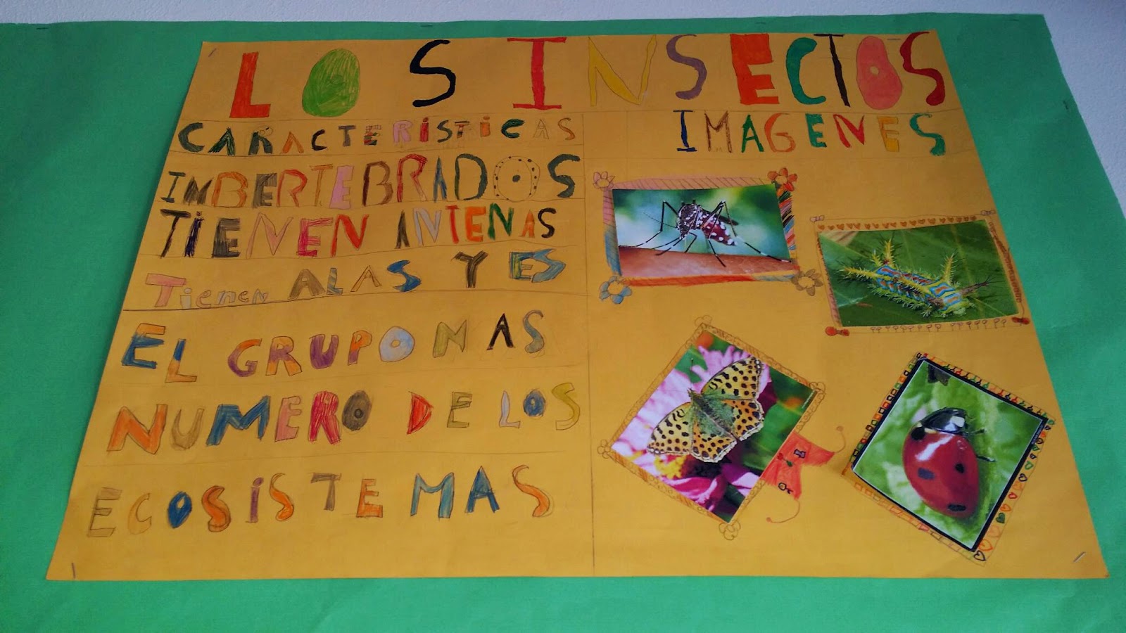 BLOG DE SEGUNDO CEIP LOS ANTOLINOS.: Mural:"Los animales".