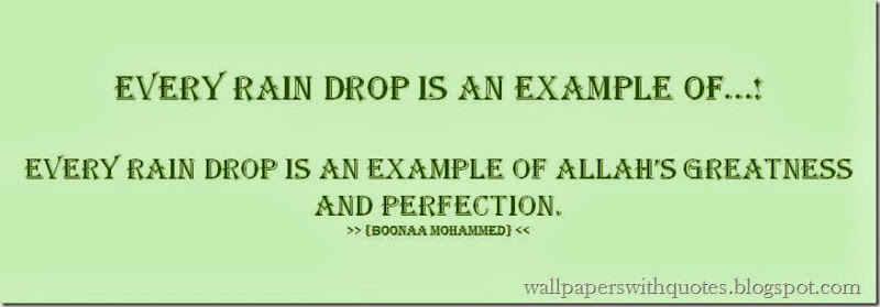 Every Rain Drop Is An Example Of… |Quote Of Islamic Scholar About Rain ...