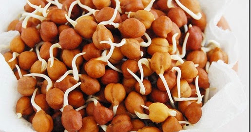 Kitchen secrets - How to sprout black chickpeas / black chana / kala ...