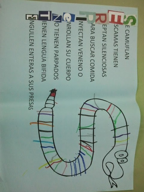 LOS PEQUES DEL PICASSO: Aprendemos sobre las serpientes