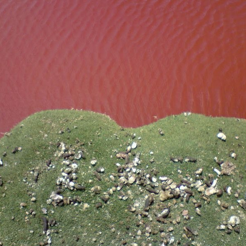 The Mysterious Red Lagoon of Chile | Amusing Planet