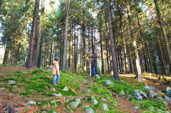 Walking Tyrebagger Forest in Scotland with the boys on Saturday. Mud ...