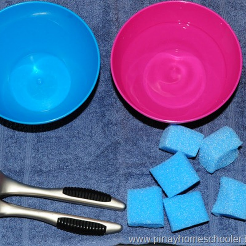 Garlic Press, Sponge and Water | The Pinay Homeschooler