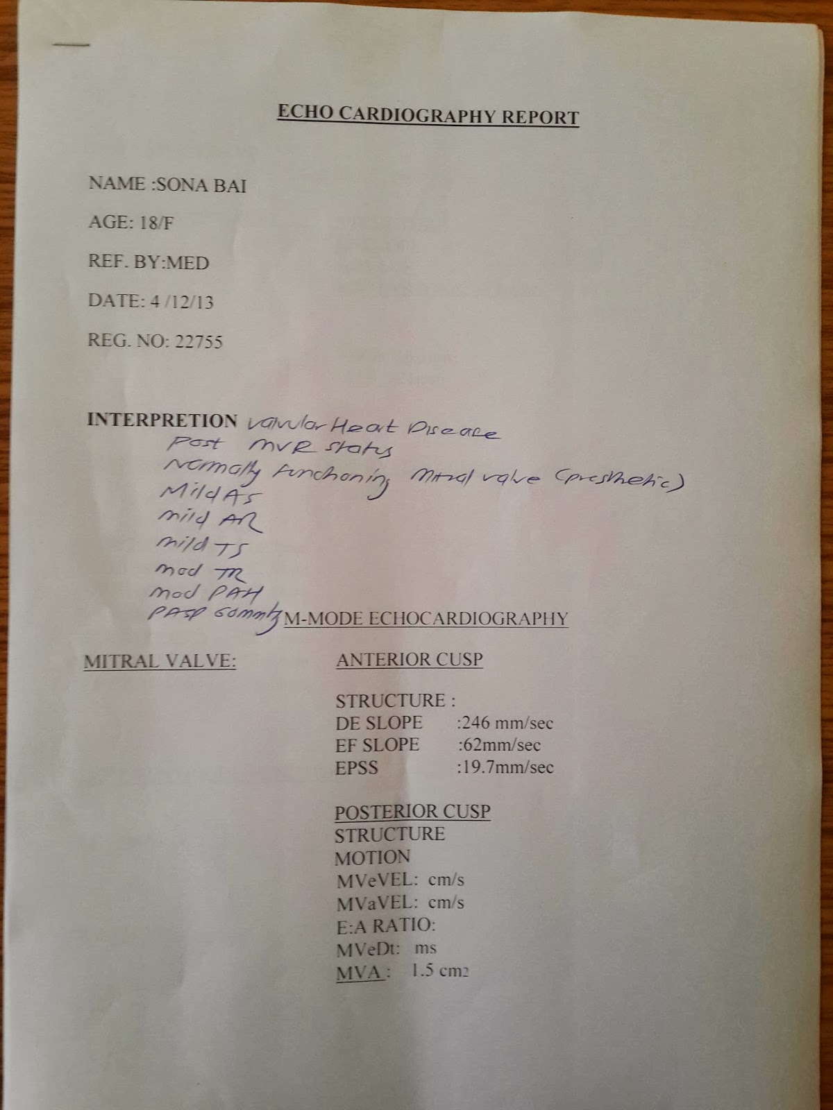 NEELZ ON WHEELZ: My first 'printed' ECHOCARDIOGRAPHY REPORT