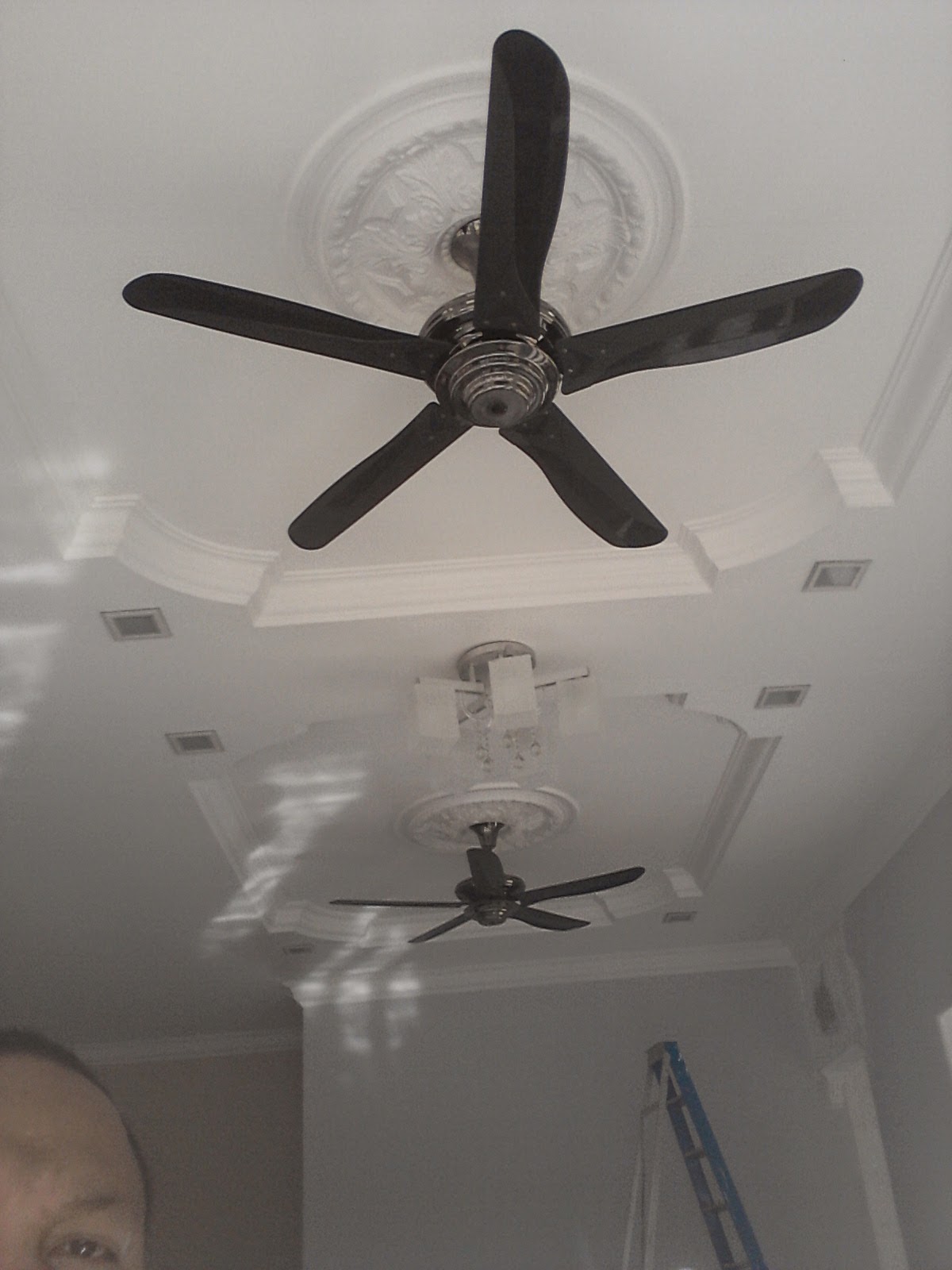 Siling fiber+siling kapor+ctwood