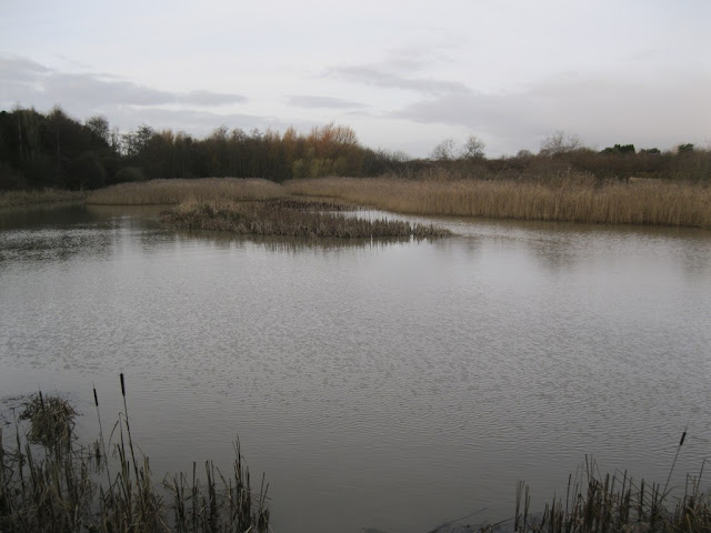 Looking for wildlife: Seghill Nature Reserve