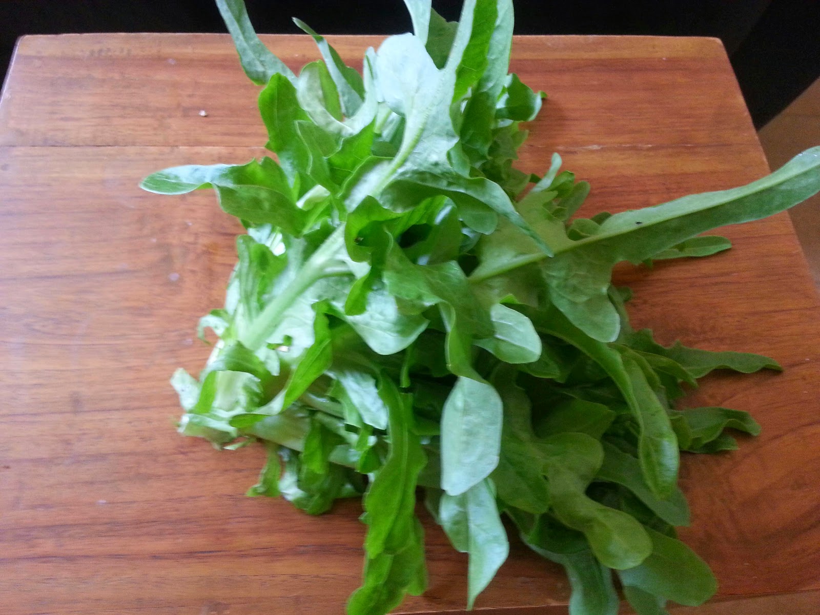 Jardineria Natural. Un Jardí per Menjar-se'l.: ENCIAM VARIETAT ...