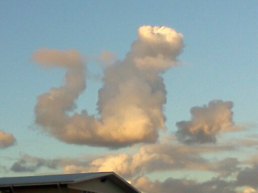 ₭ѳᵲᾷ'§ Ṽịҿʬ: Squirrel Cloud