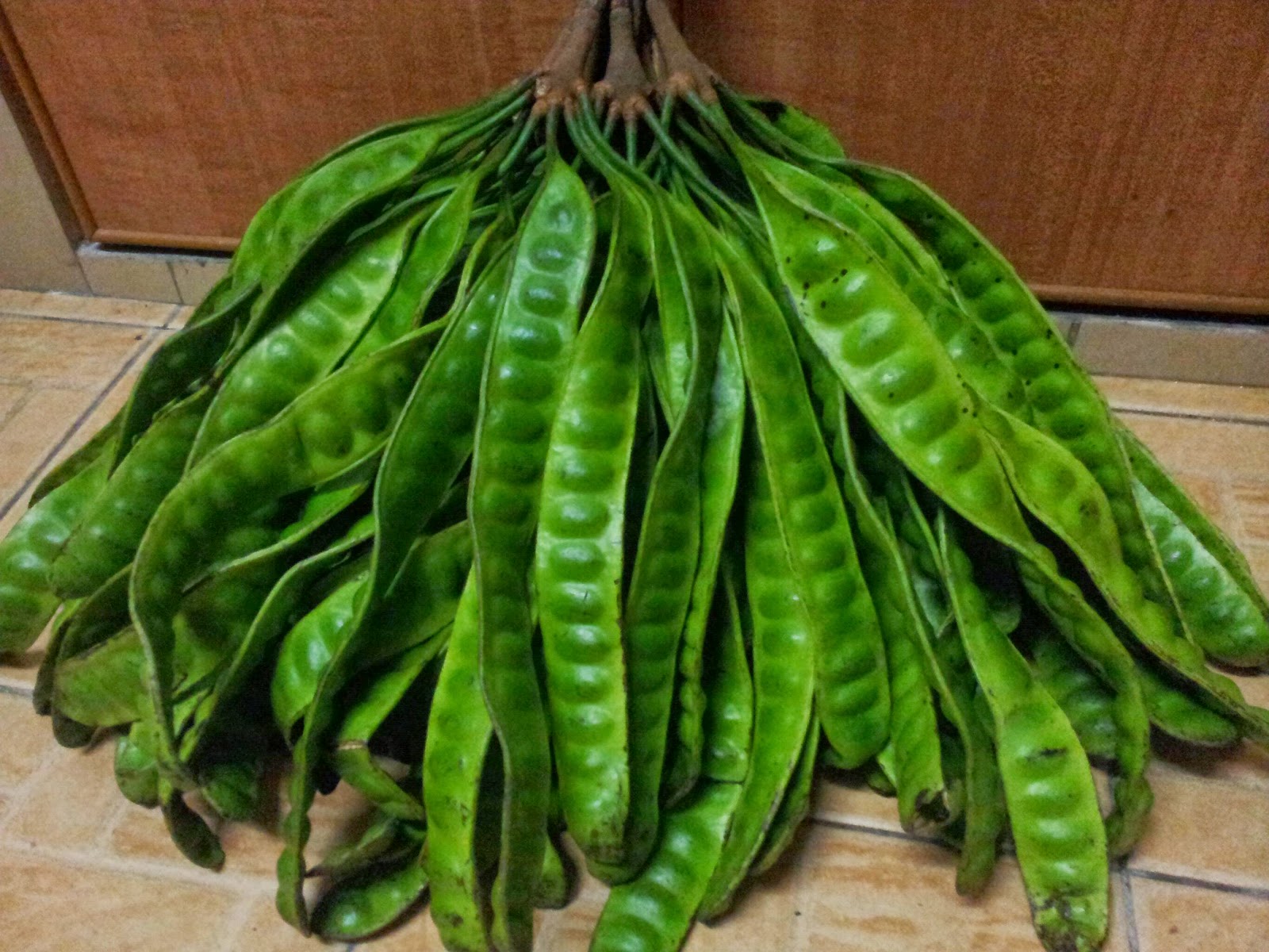 Mama Aimi Najla Arissa: Petai...petai....petai