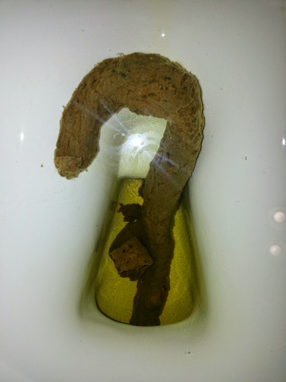 My Daily Poo: August 2014