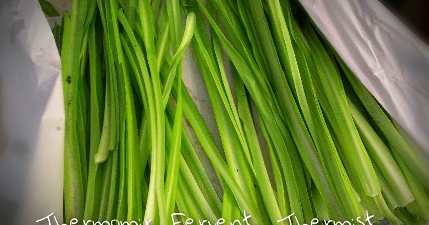 Ripple Thoughts: Thermomix Stir Fried Dragon Chinese Chives with Prawns