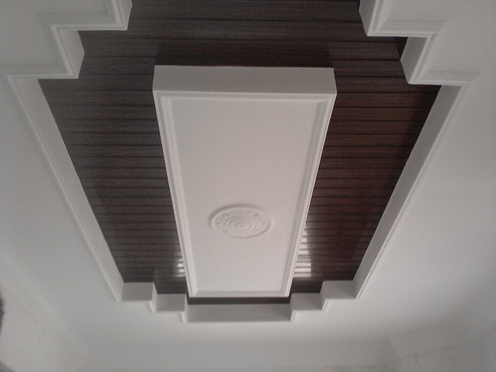 Siling fiber+siling kapor+ctwood